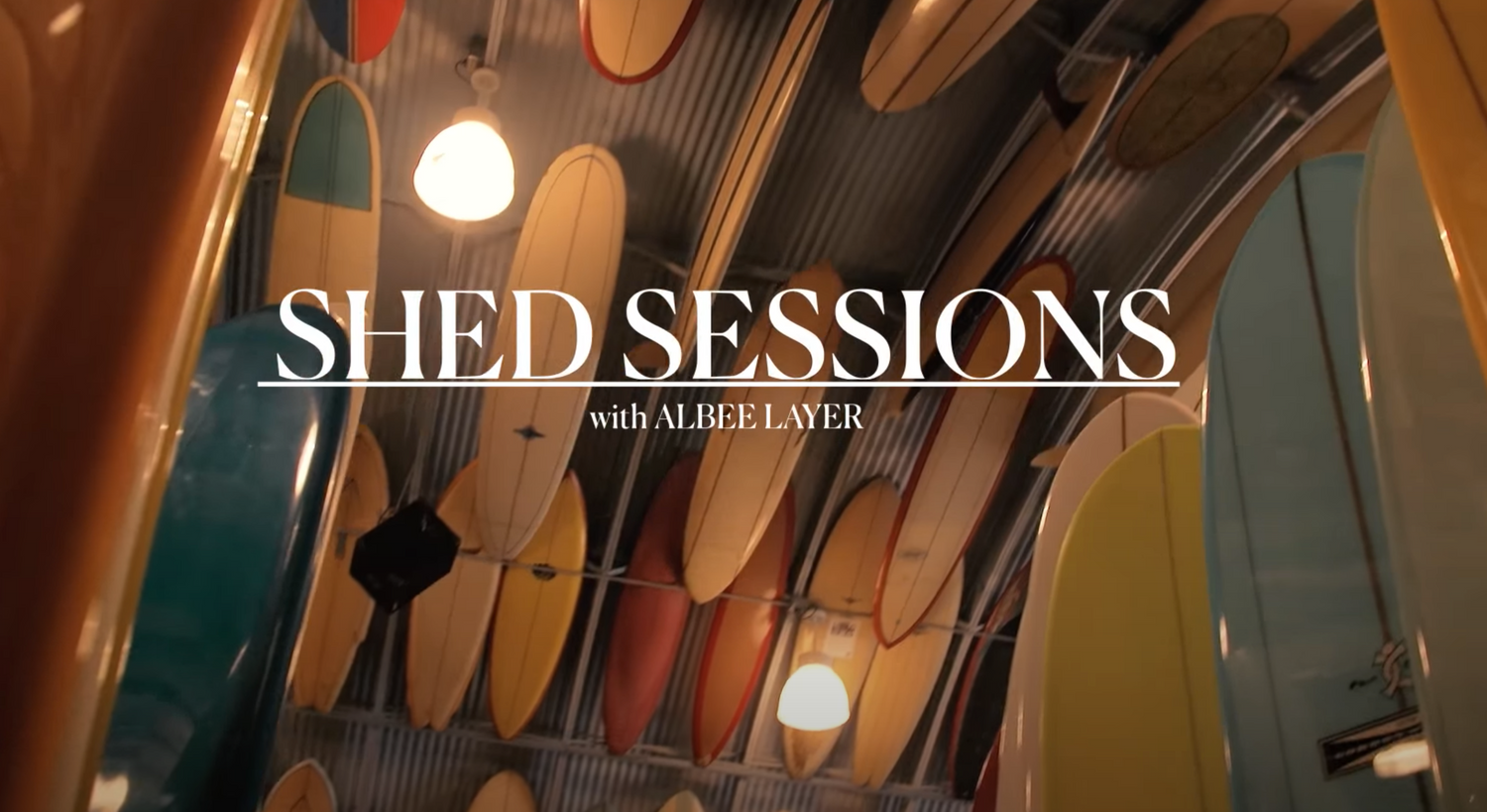 ALBEE LAYER – Bird's Surf Shed