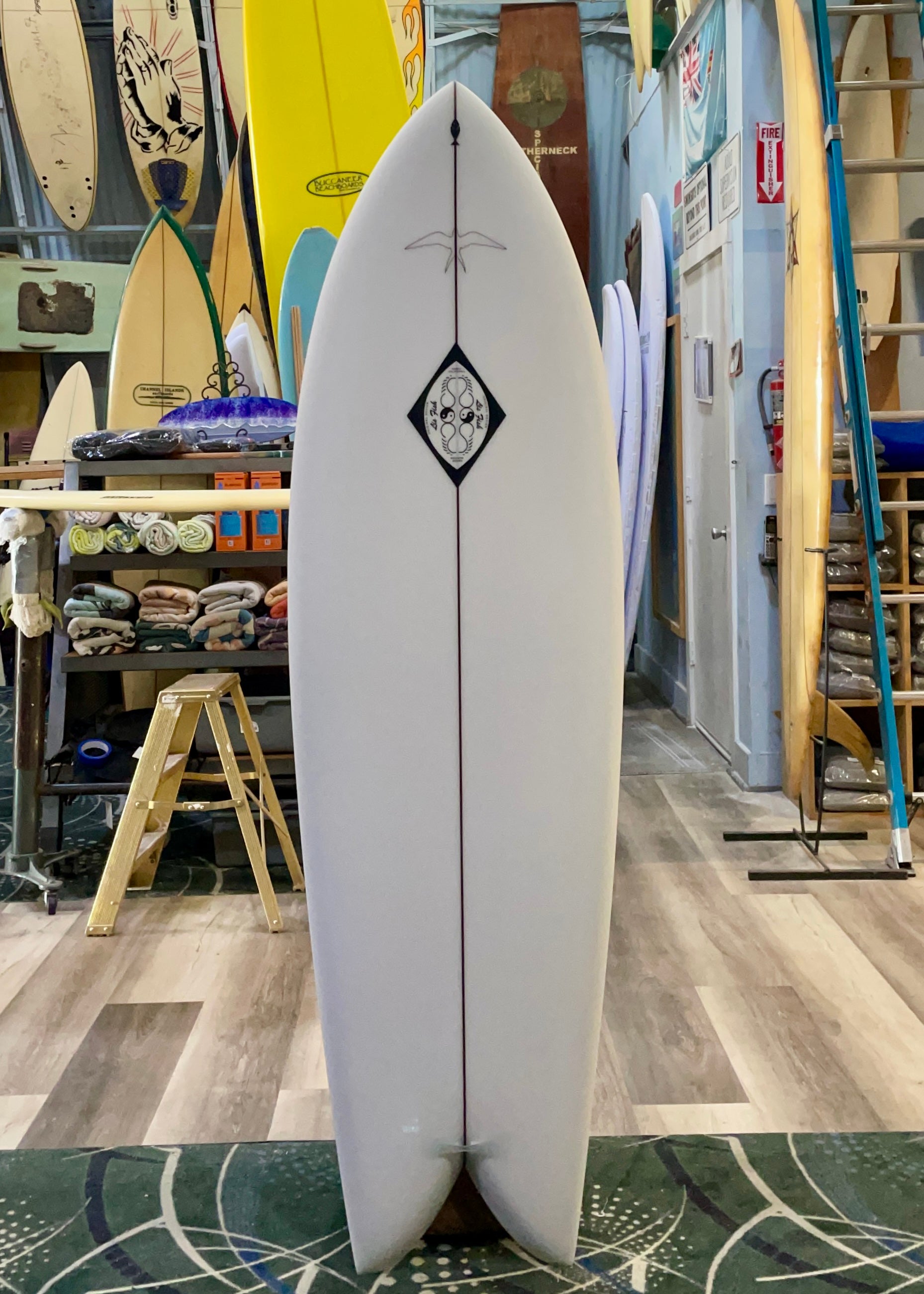 Steve Lis Designs Fish - 6'0" Clear Sanded Finish – Bird's Surf Shed